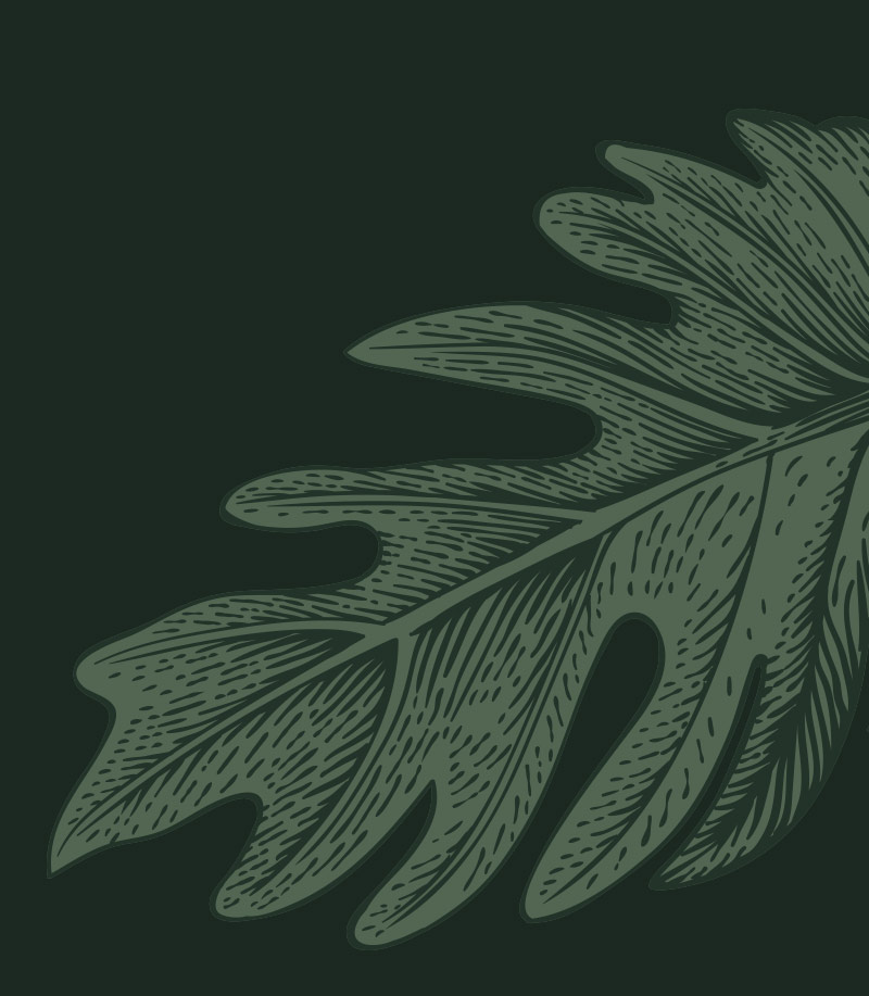 Case Study – Colinart Shop